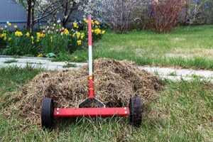 Why You Need These Best Pull Behind Dethatchers for Your Yard