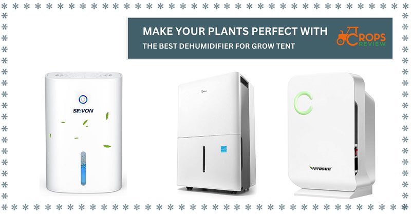 Make Your Plants Perfect With the Best Dehumidifier for Grow Tent! Best ...