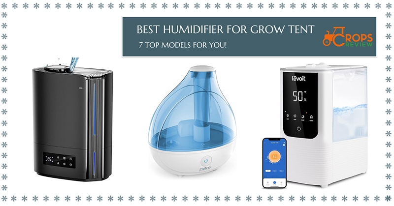 Best Humidifier for Grow Tent Money Can Buy! Our 7 Top Models for 2024 ...