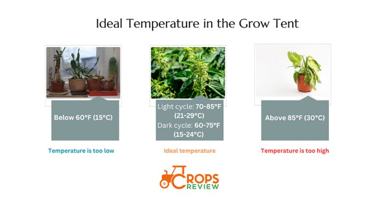 Grow Tent Temperature: Information, Importance and How to Control ...