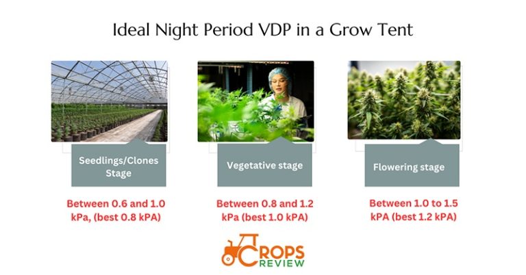Vapor Pressure Deficit (VPD) in Grow Tent: How to Measure, Manage ...