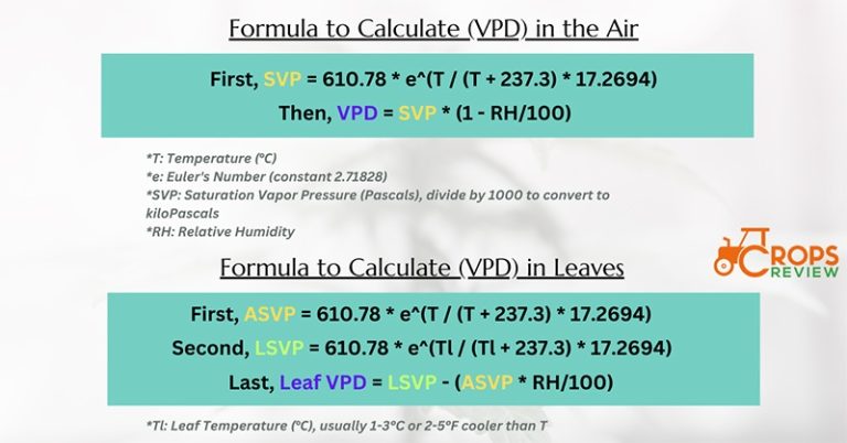 Vapor Pressure Deficit (VPD) in Grow Tent: How to Measure, Manage Transpiration Using VPD ...