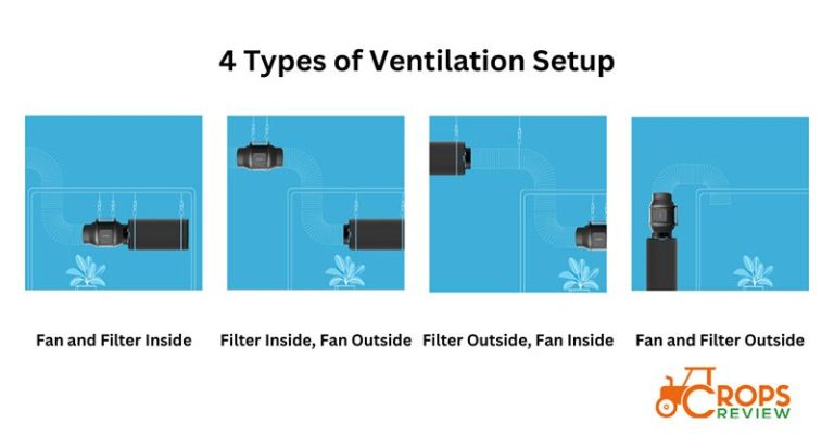 Grow Tent Ventilation: Importance, Components, and How to Set Up ...