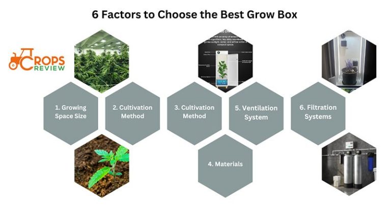 9 Best Hydroponic Indoor Grow Boxes for Growing Cannabis, Vegetables ...