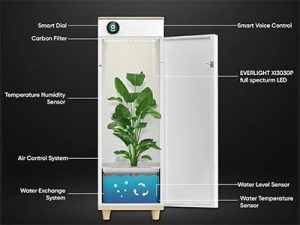 9 Best Hydroponic Indoor Grow Boxes for Growing Cannabis, Vegetables ...