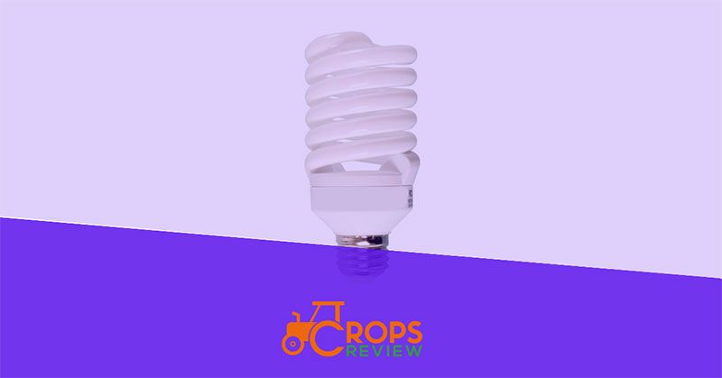 10 Best Compact Fluorescent Lamp (CFL) Grow Light Choices of 2024 ...