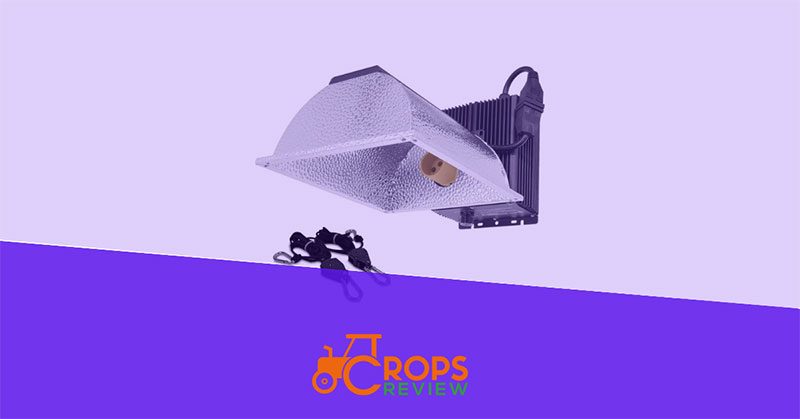 10 Best CMH/LEC Grow Light Kits and Bulbs of 2024 - Crops Review