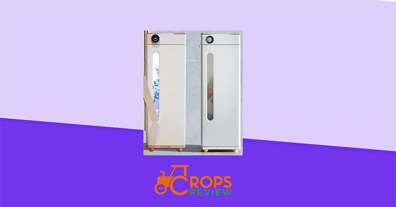 9 Best Hydroponic Indoor Grow Boxes for Growing Cannabis, Vegetables ...