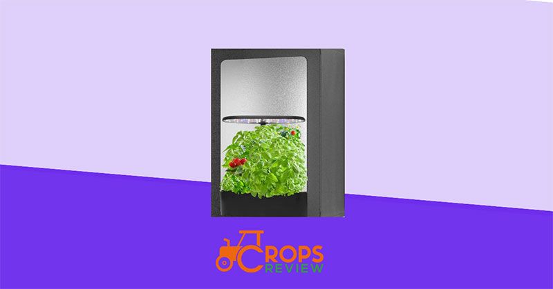 9 Best Small Grow Tents and Mini Tens for Indoor Gardening - Crops Review