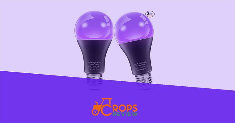 UV Light for Indoor Plants: Effects, Types, How to Choose and Using ...