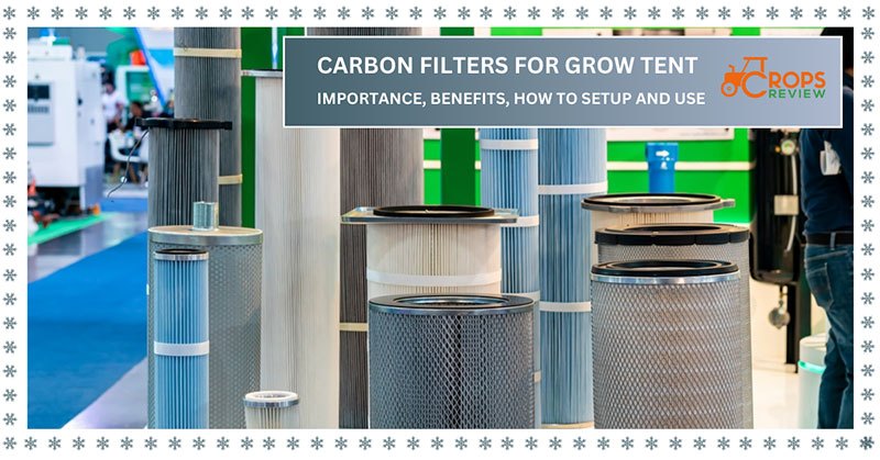 Carbon Filters for Grow Tent: Importance, Benefits, How to Setup and ...