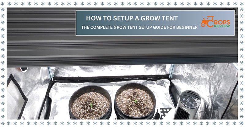 How to Setup a Grow Tent: The Complete Grow Tent Setup Guide for ...