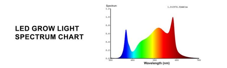 Spectrum Science in LED Grow Lights: Concepts, Information and Effects ...