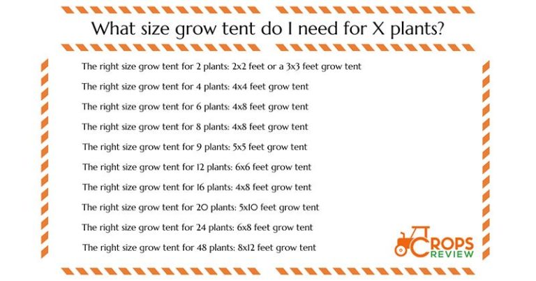 What Size Grow Tent for 2, 4, 6, 9, 12, 16, 20, 24, and 48 Plants?